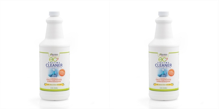 How To Get Rid of Cat Pee Smell: a Helpful Guide - Blog View - YouTalent®